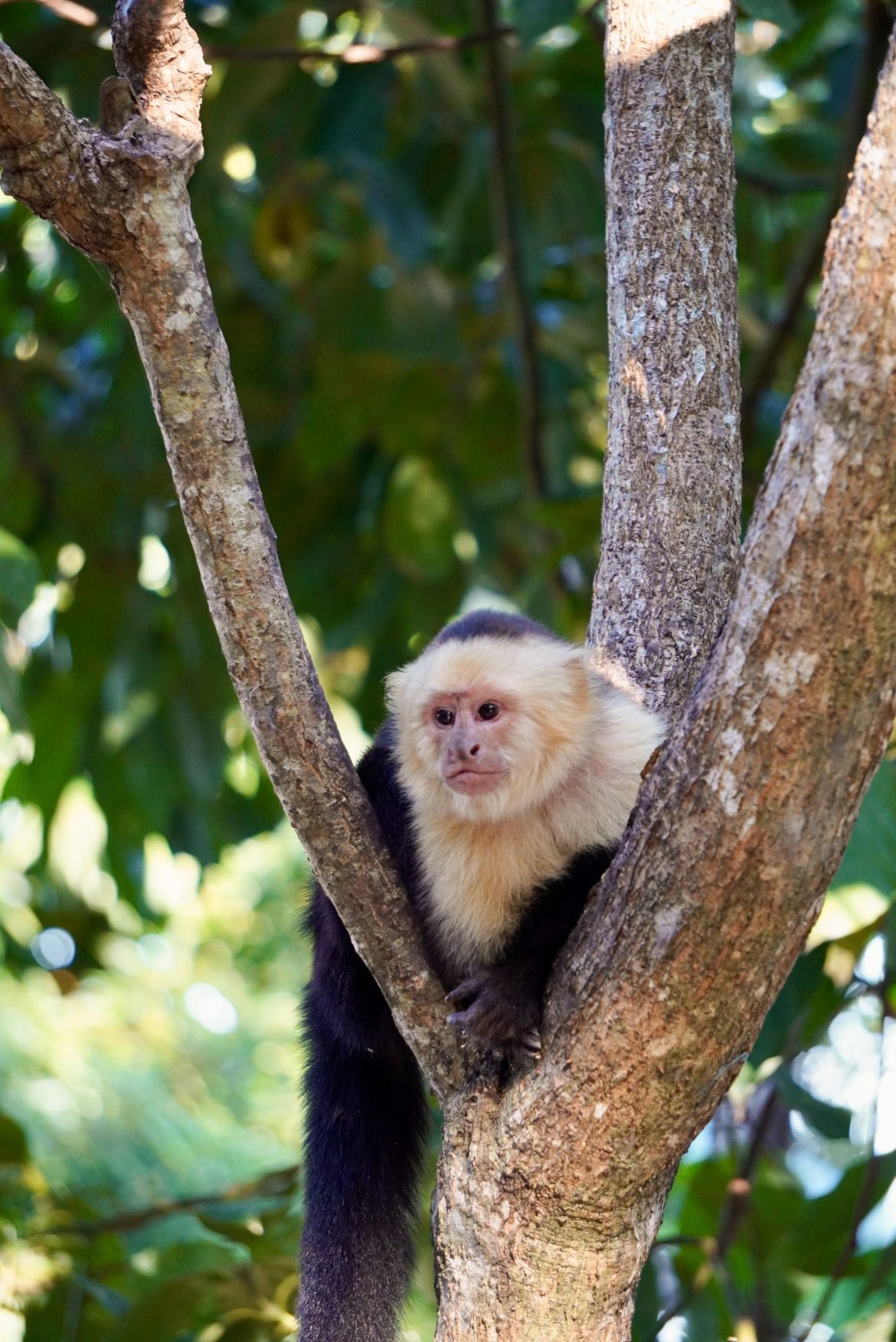 ULTIMATE GUIDE TO OMETEPE ISLAND: NICARAGUA’S NATURAL PARADISE ...